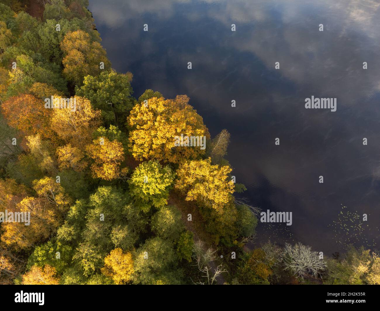 Aerial view of autumn landscape, forest i vibrant colors Stock Photo ...