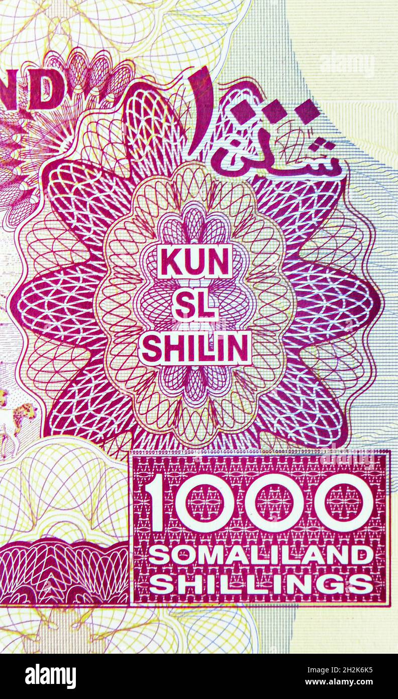 1000 Somaliland Shillings banknote, Bank of Somaliland, closeup bill ...