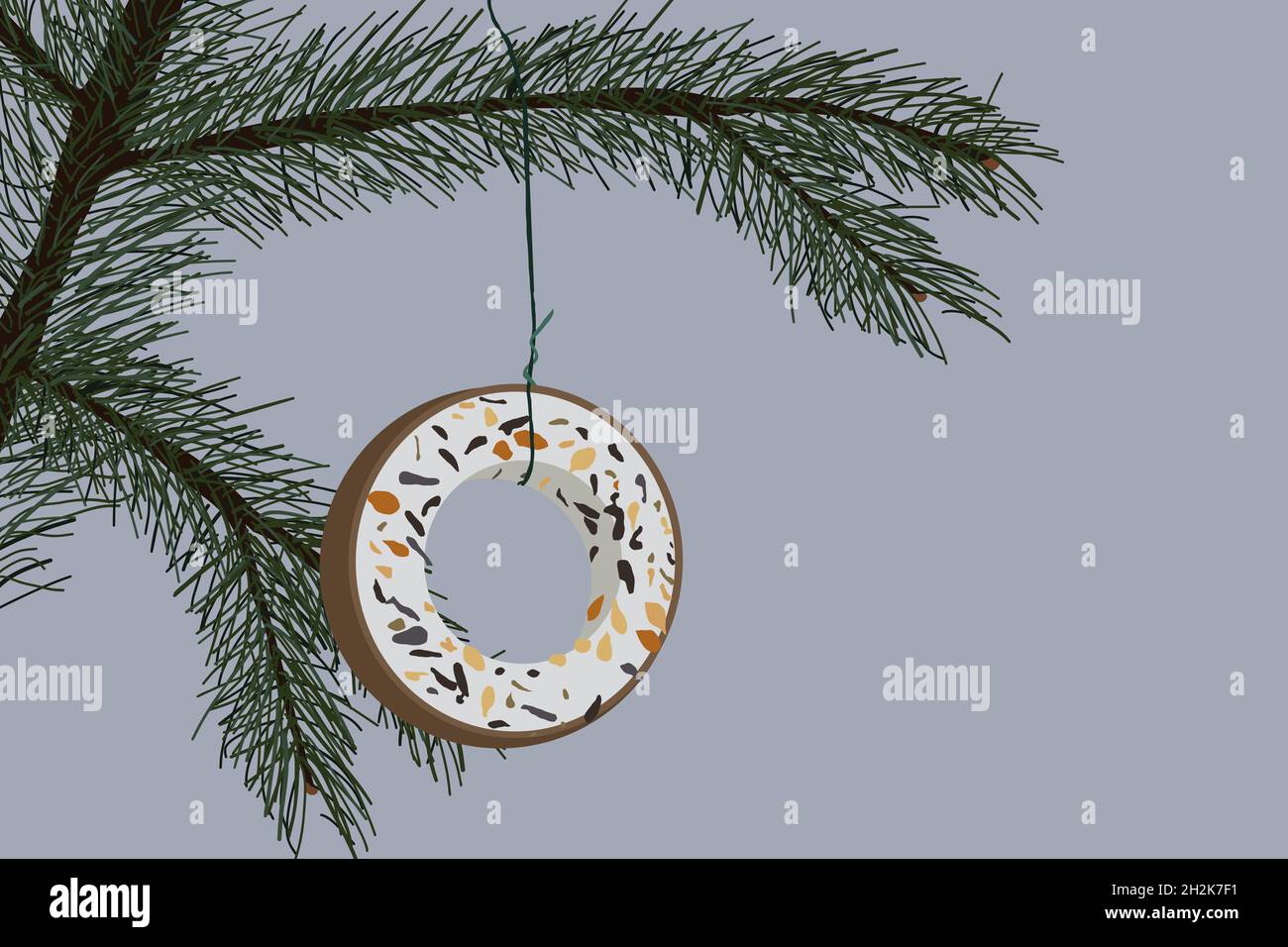Food for birds, illustration for tit feed in winter on a pine twig ...