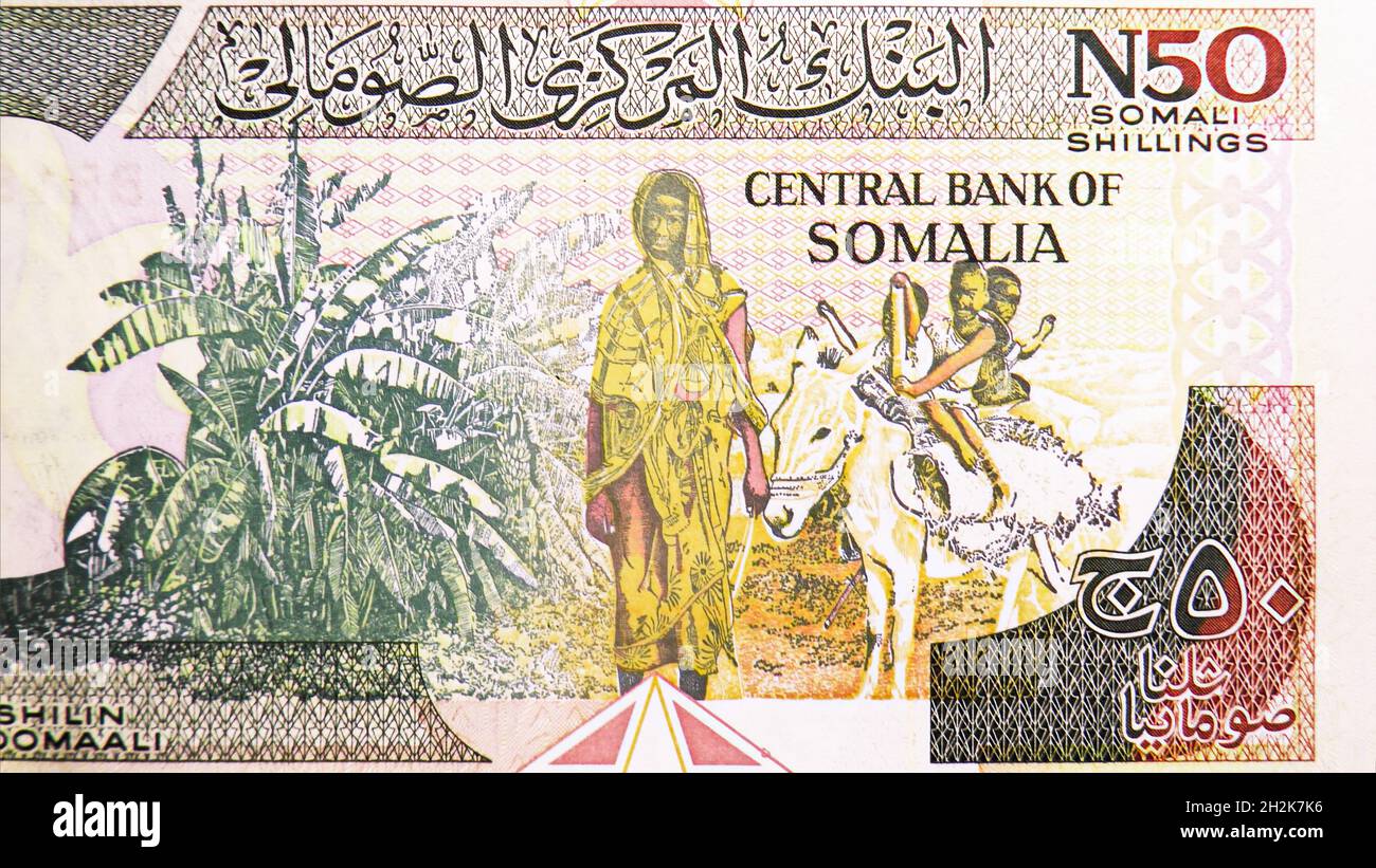 50 Shillings banknote, Bank of Somalia, closeup bill fragment shows ...