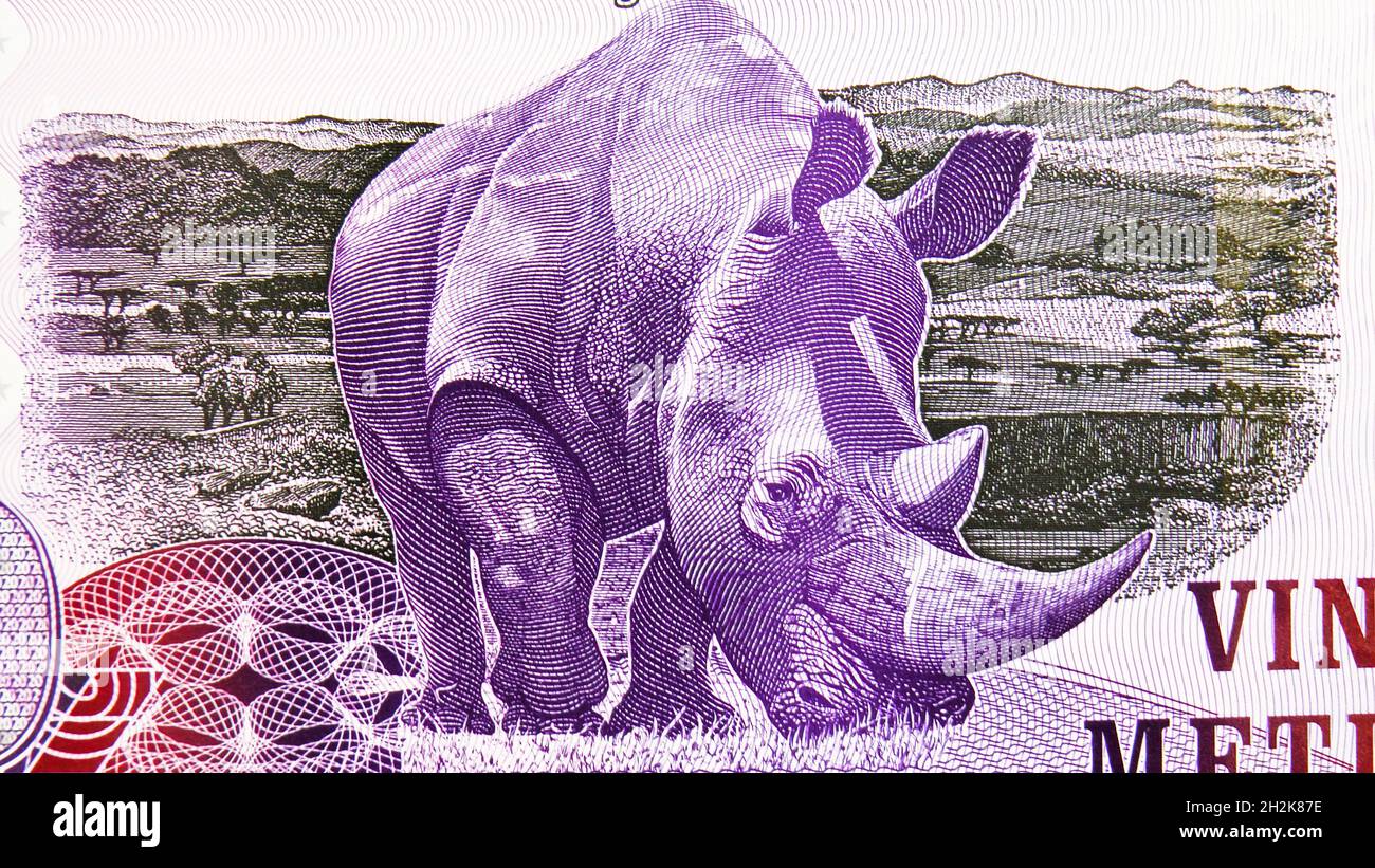 Meticais hi-res stock photography and images - Alamy