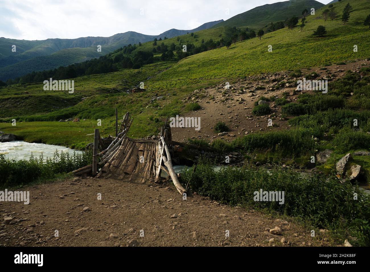 Cattle overlanding hi-res stock photography and images - Alamy