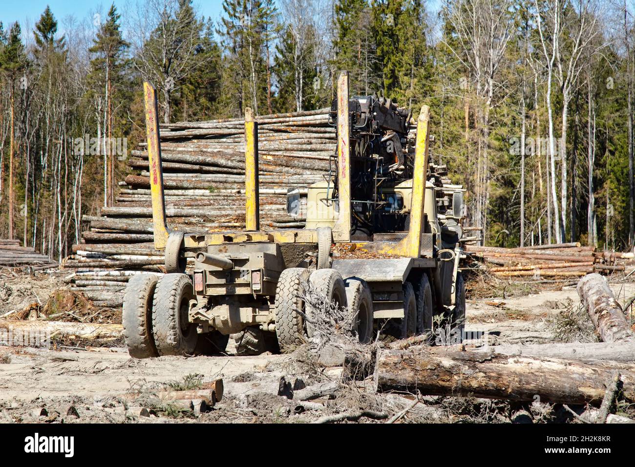 Forest industry. Operations for loading-unloading logging truck at ...