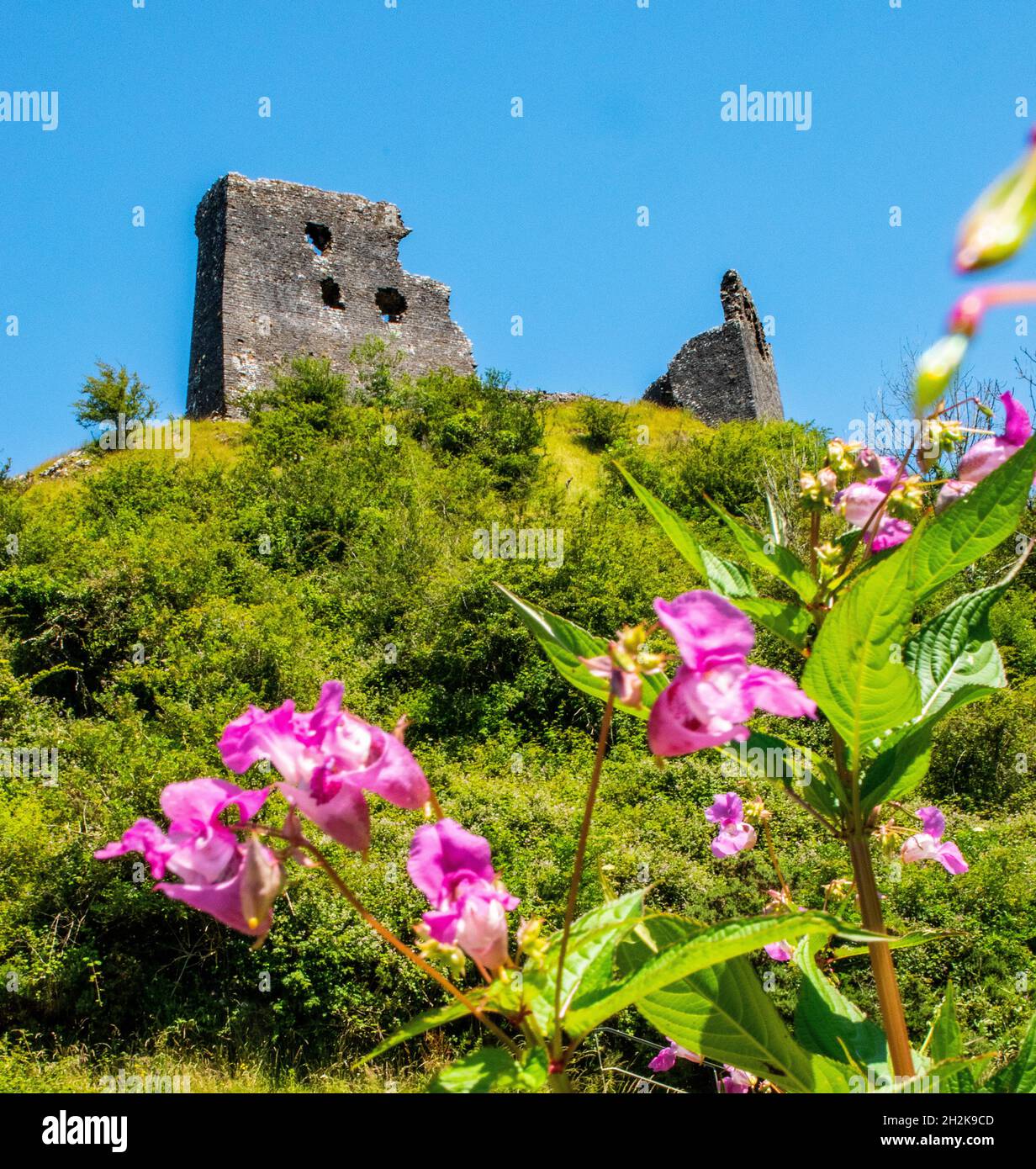 The tyfi plain hi-res stock photography and images - Alamy