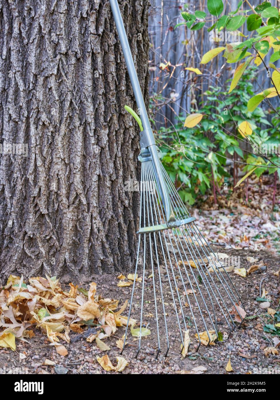 Adjustable rake hi-res stock photography and images - Alamy