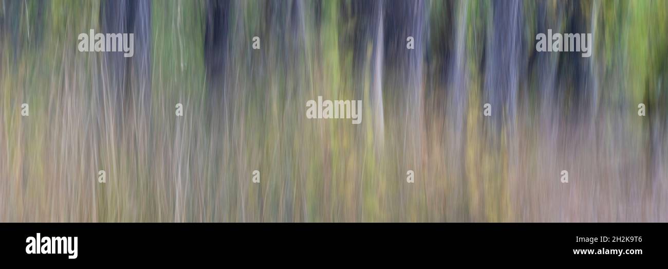 nature motion blur abstract in pastel colors -grass and trees in fall ...