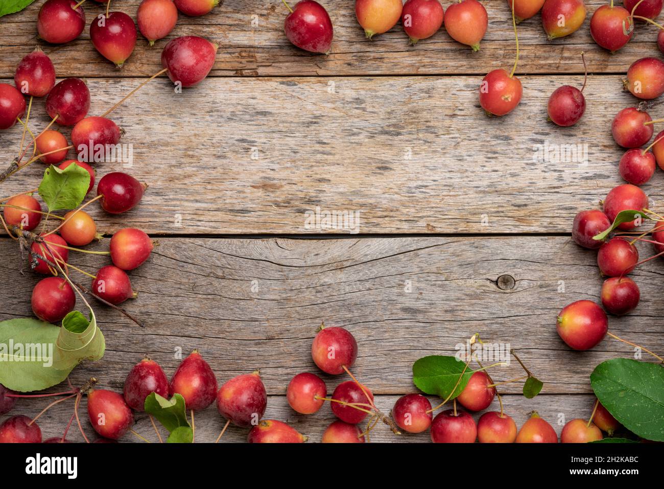 rustic wood texture and background framed by red crab apples with a ...