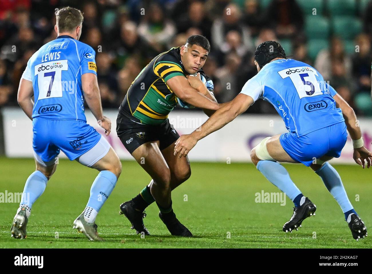 Sam Matavesi of Northampton Saintsin action Stock Photo - Alamy