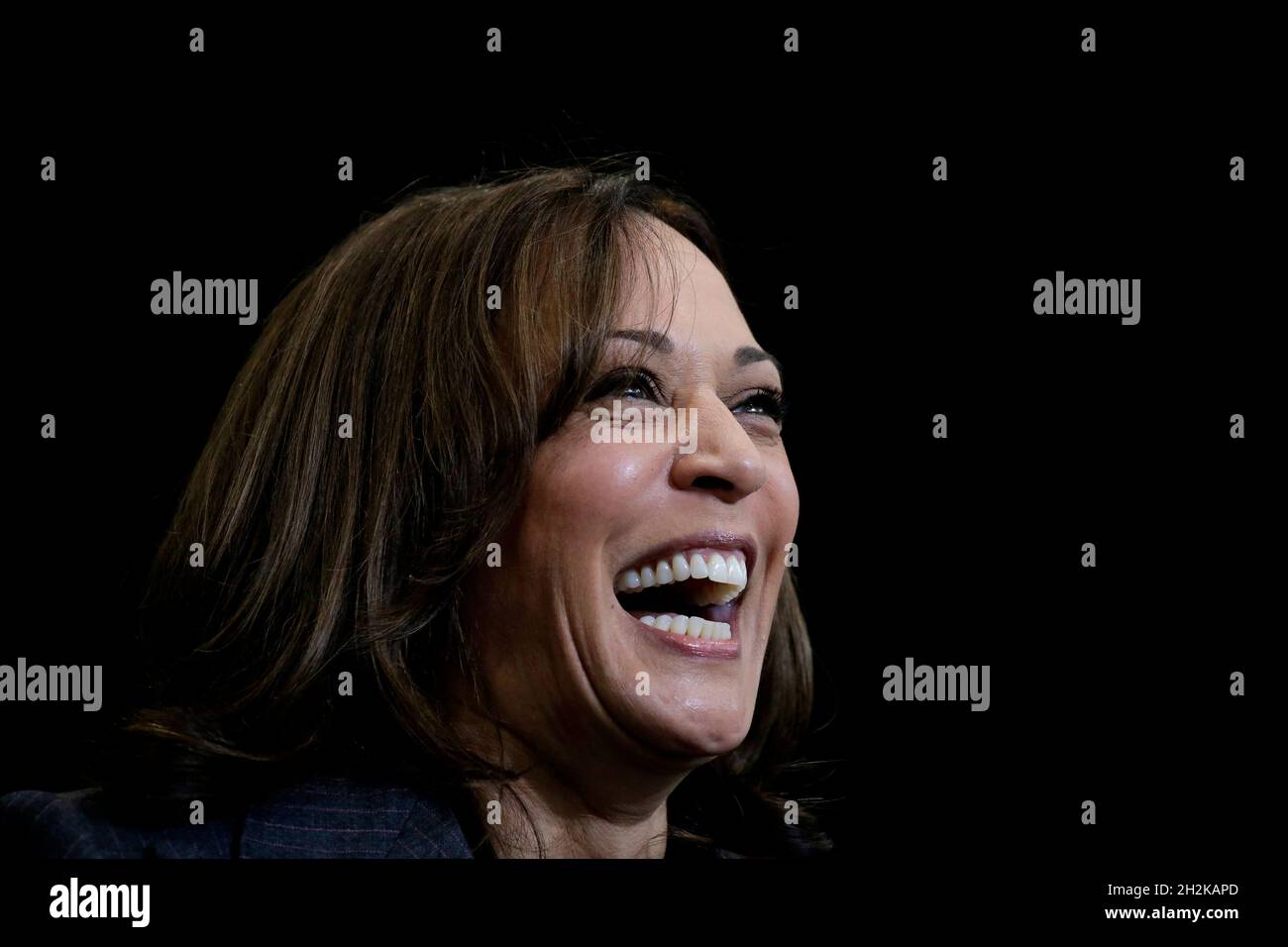 Vice President Kamala Harris delivers remarks at the Northeast Bronx ...