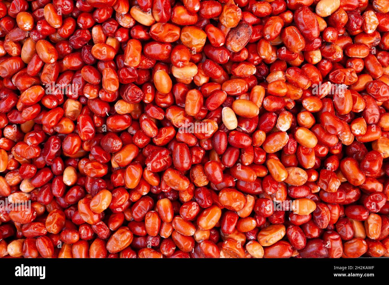 Silverberry hi-res stock photography and images - Alamy