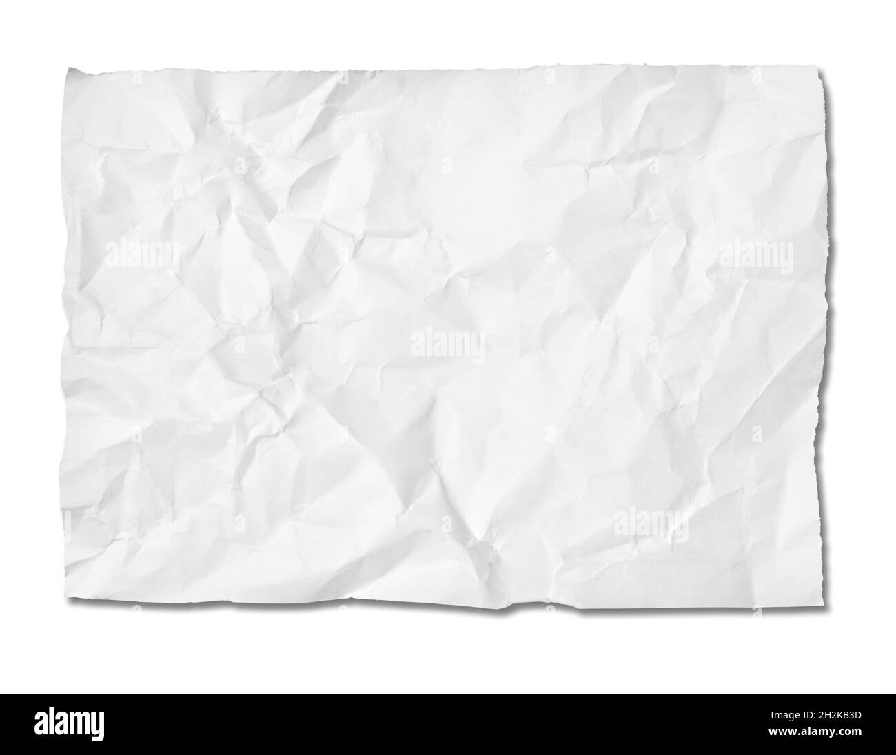 Torn White Paper Background
