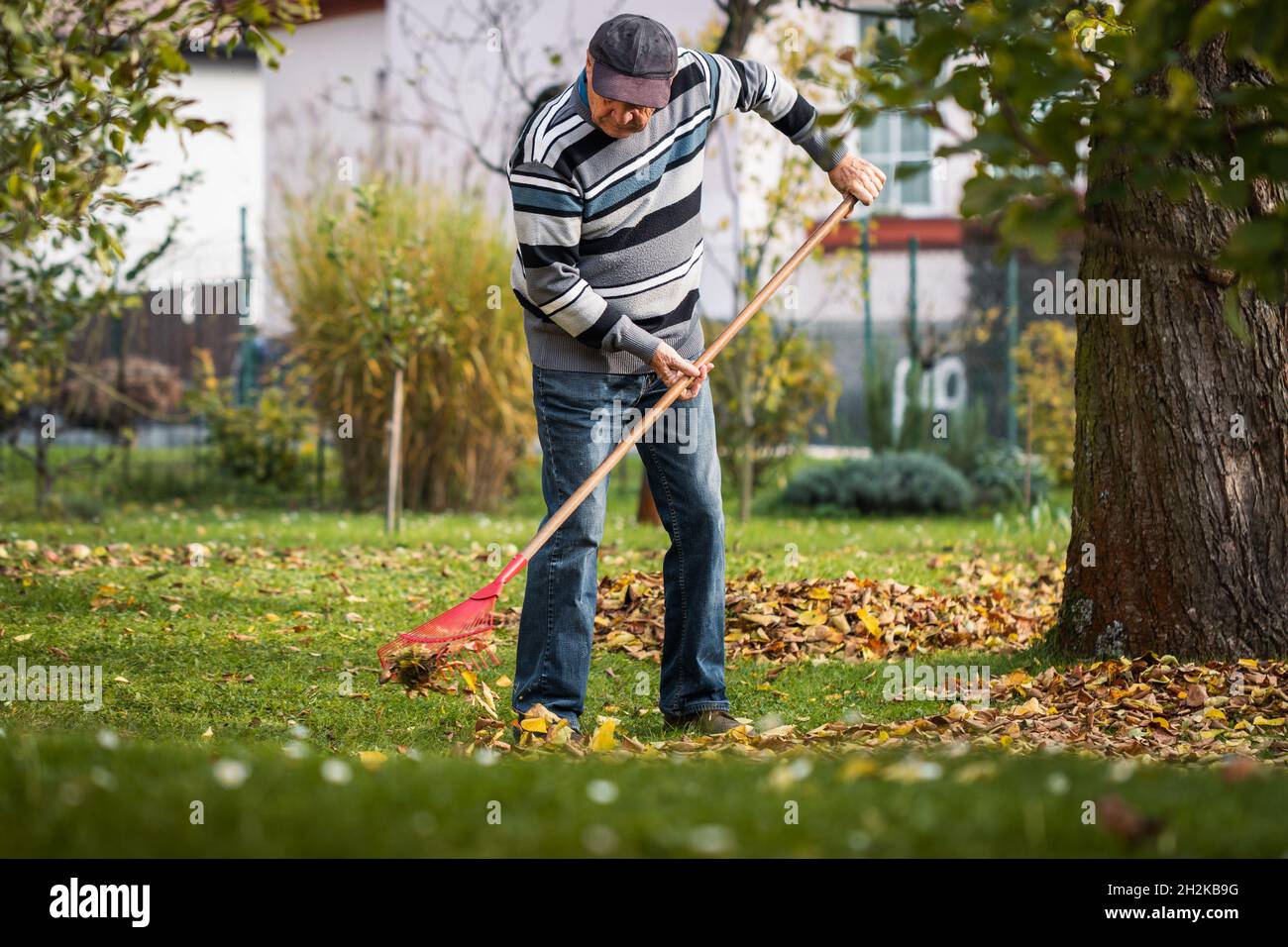 Old man raking grass hi-res stock photography and images - Alamy