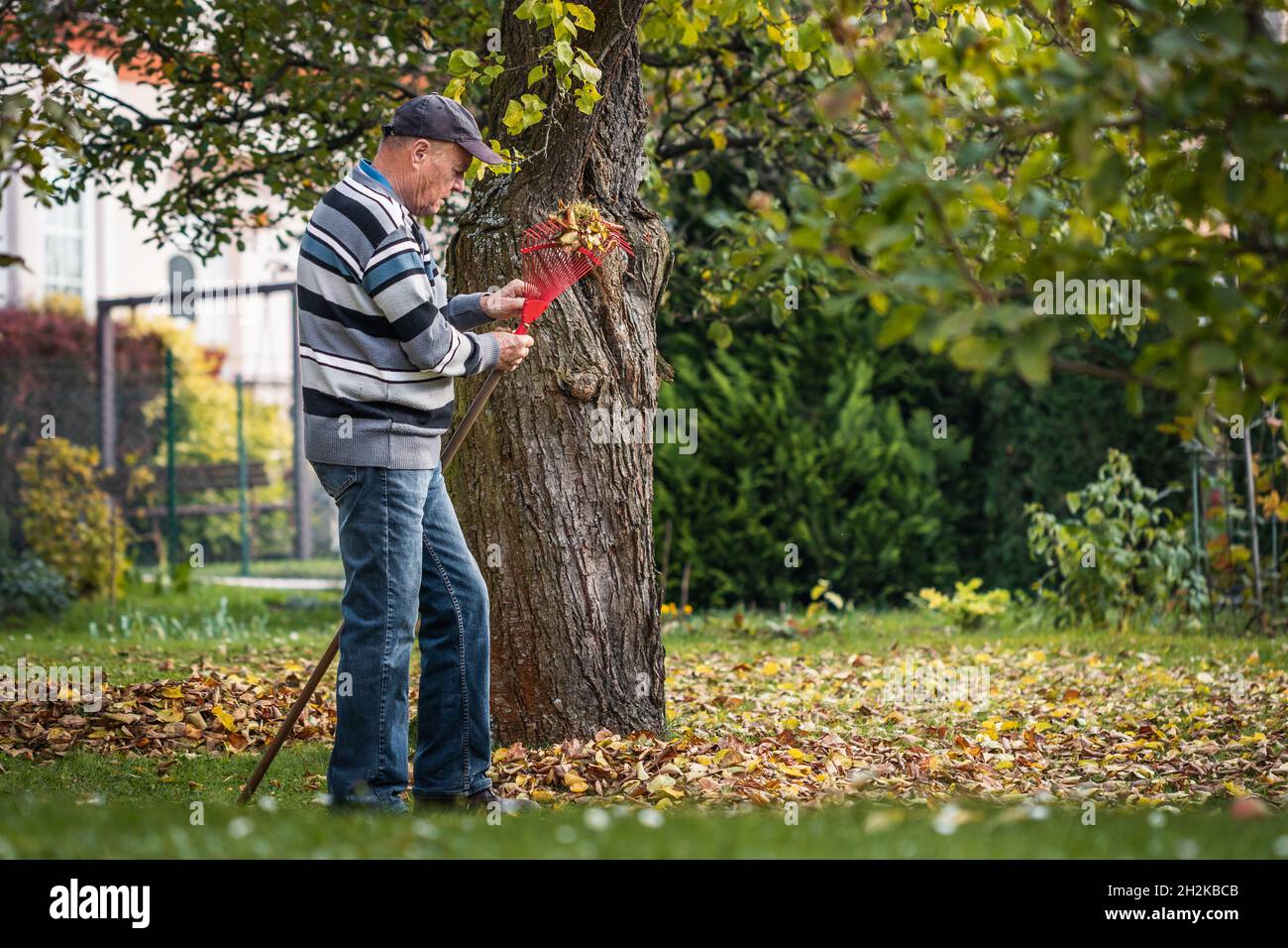 Indian adult gardening hi-res stock photography and images - Alamy