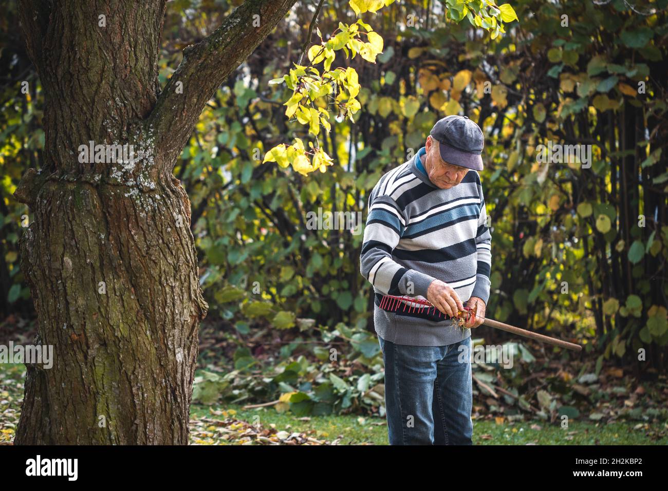 Man Gardening Indian High Resolution Stock Photography and Images - Alamy