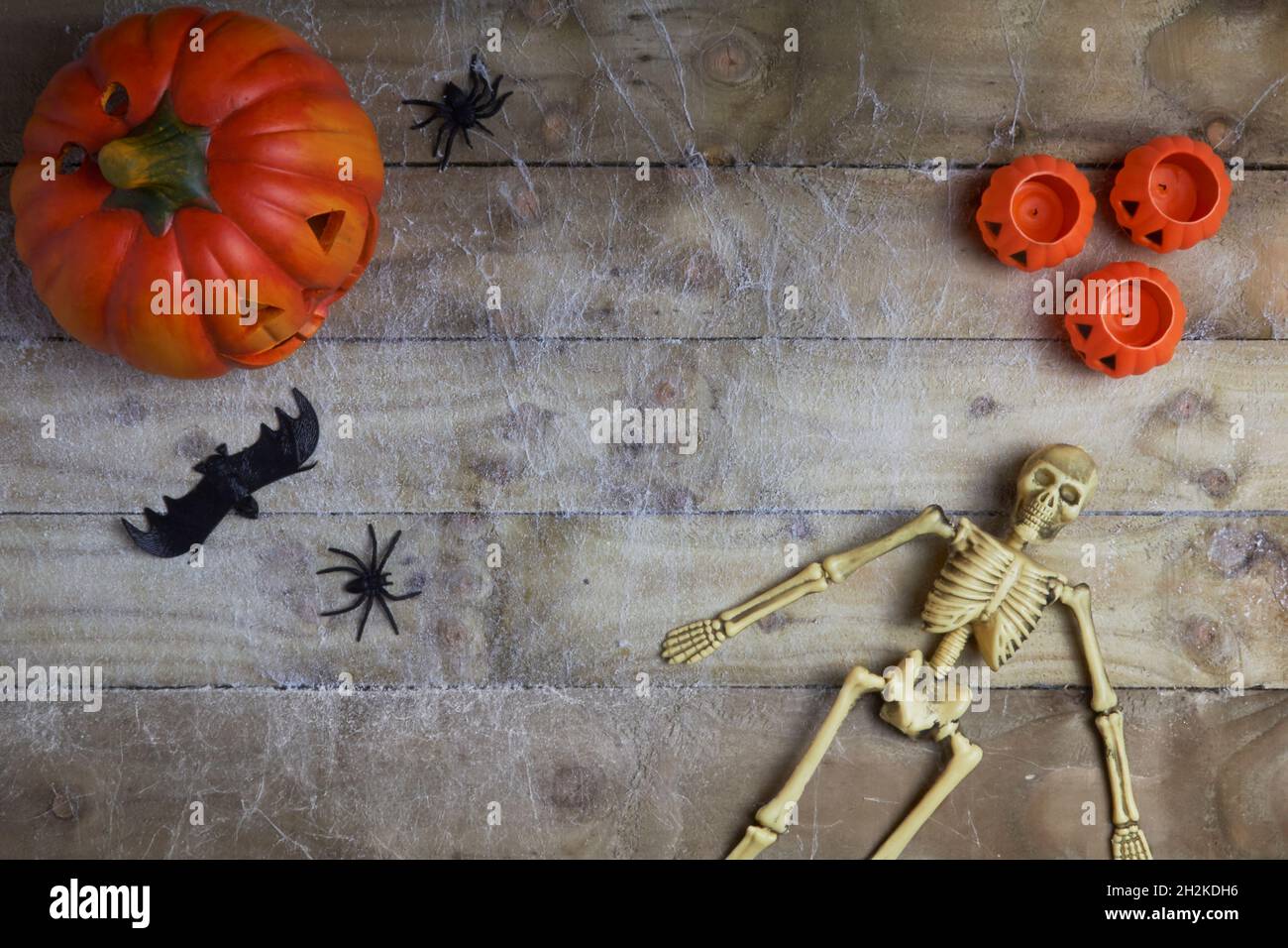 pumpkin,bat,skeleton,spiders on a cobweb wooden background with copy ...