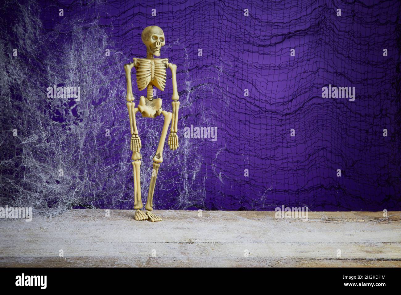 fake human skeleton on a cobweb wooden background Stock Photo - Alamy