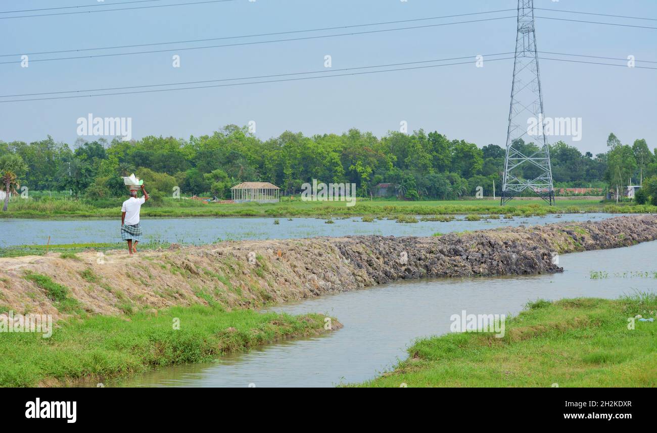 Village scenery of Bangladesh Stock Photo - Alamy