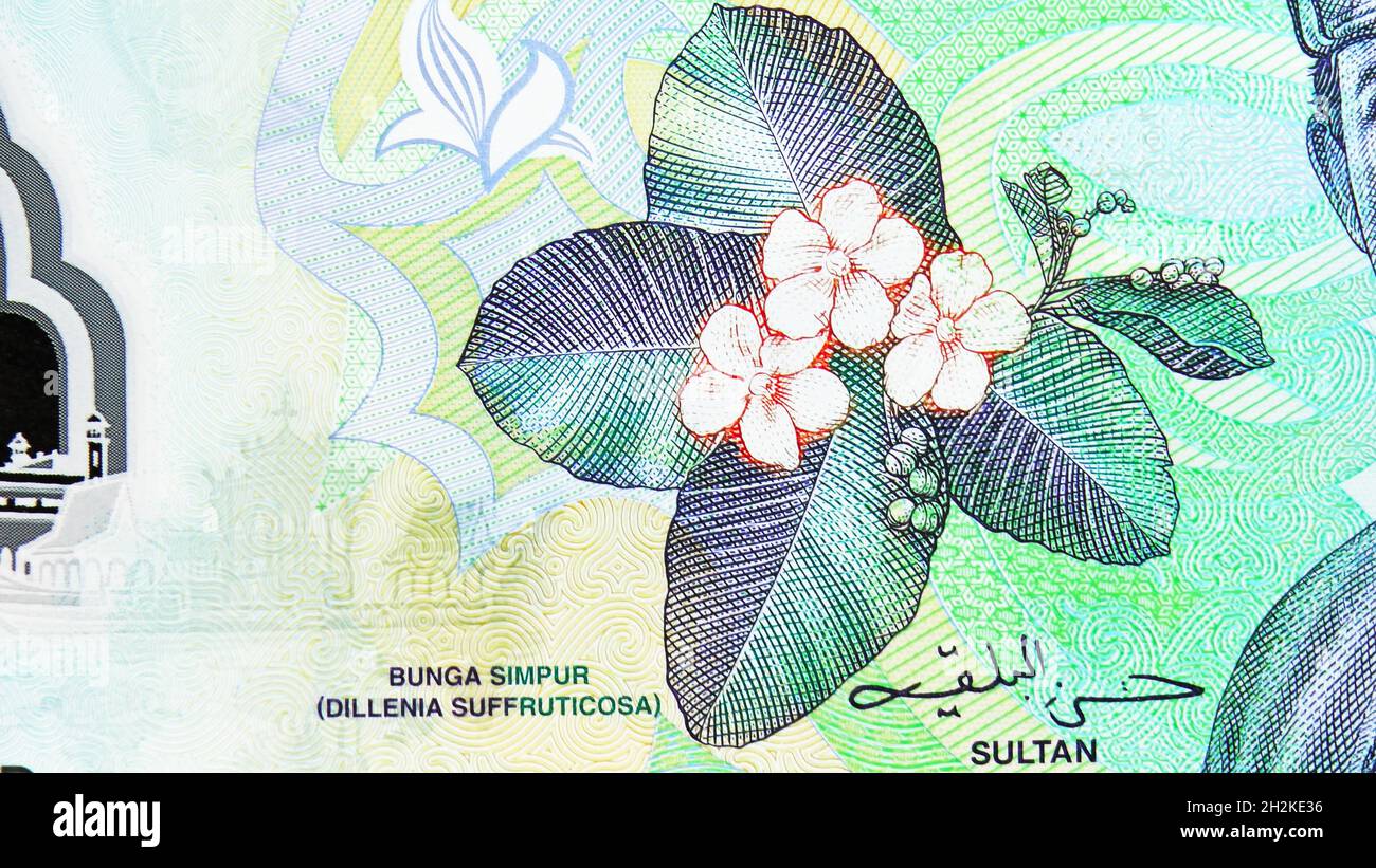 Bunga simpur hi-res stock photography and images - Alamy