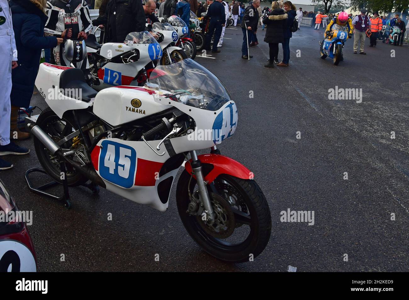 A line up of Yamaha bikes, Hailwood Trophy for two stroke 250cc and ...