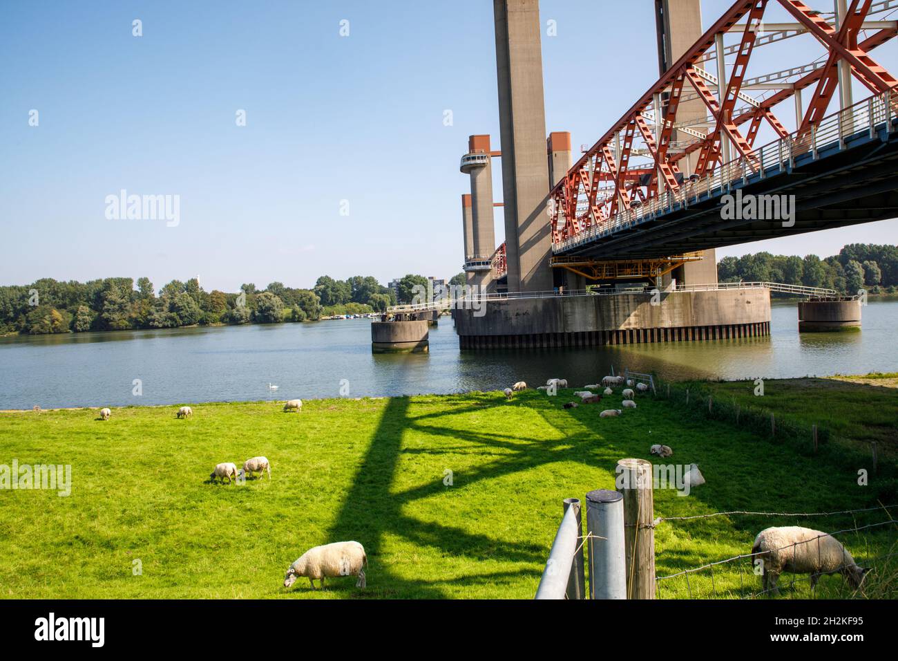 Fiets brug hi-res stock photography and images - Alamy