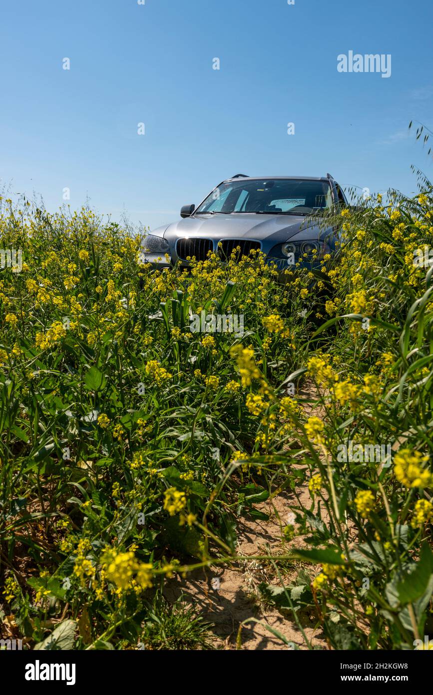 Car going through grass hi-res stock photography and images - Alamy