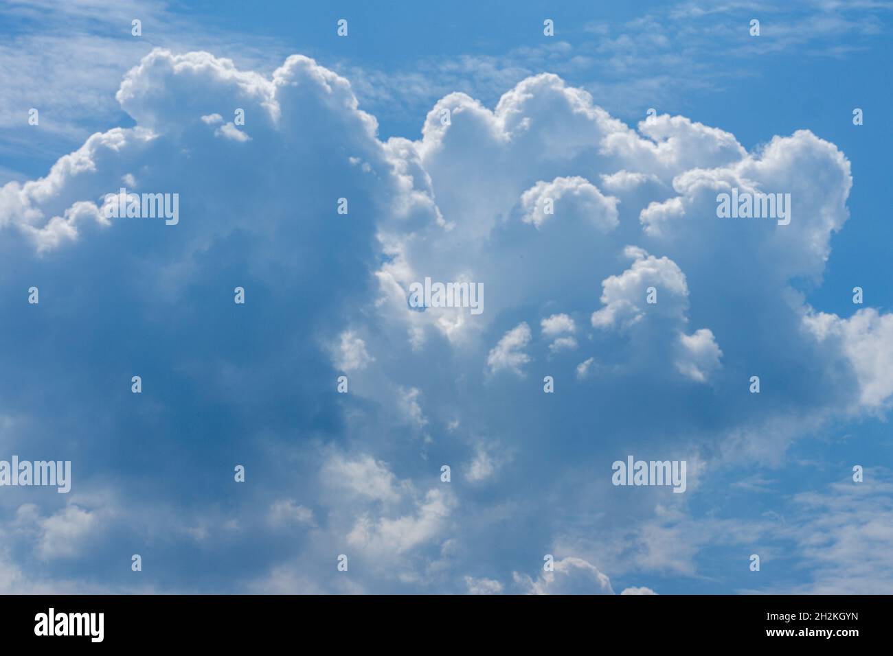 Cotton like hi-res stock photography and images - Alamy