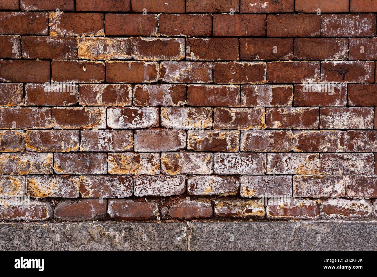 Clay brick wall with the lower part full of festering salt due to ...