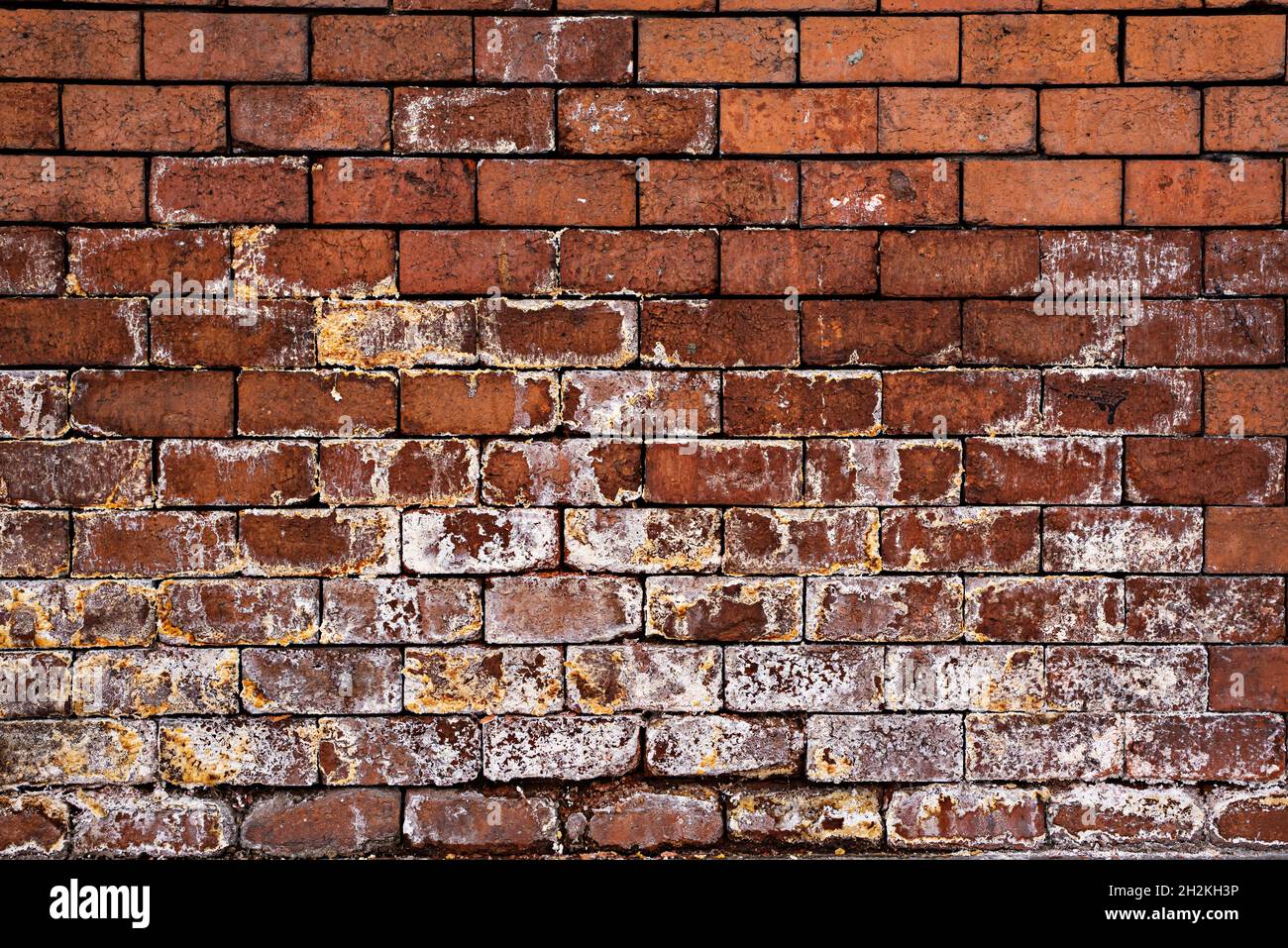 Vintage red brick wall with salt residue on the surface. Vector brick ...