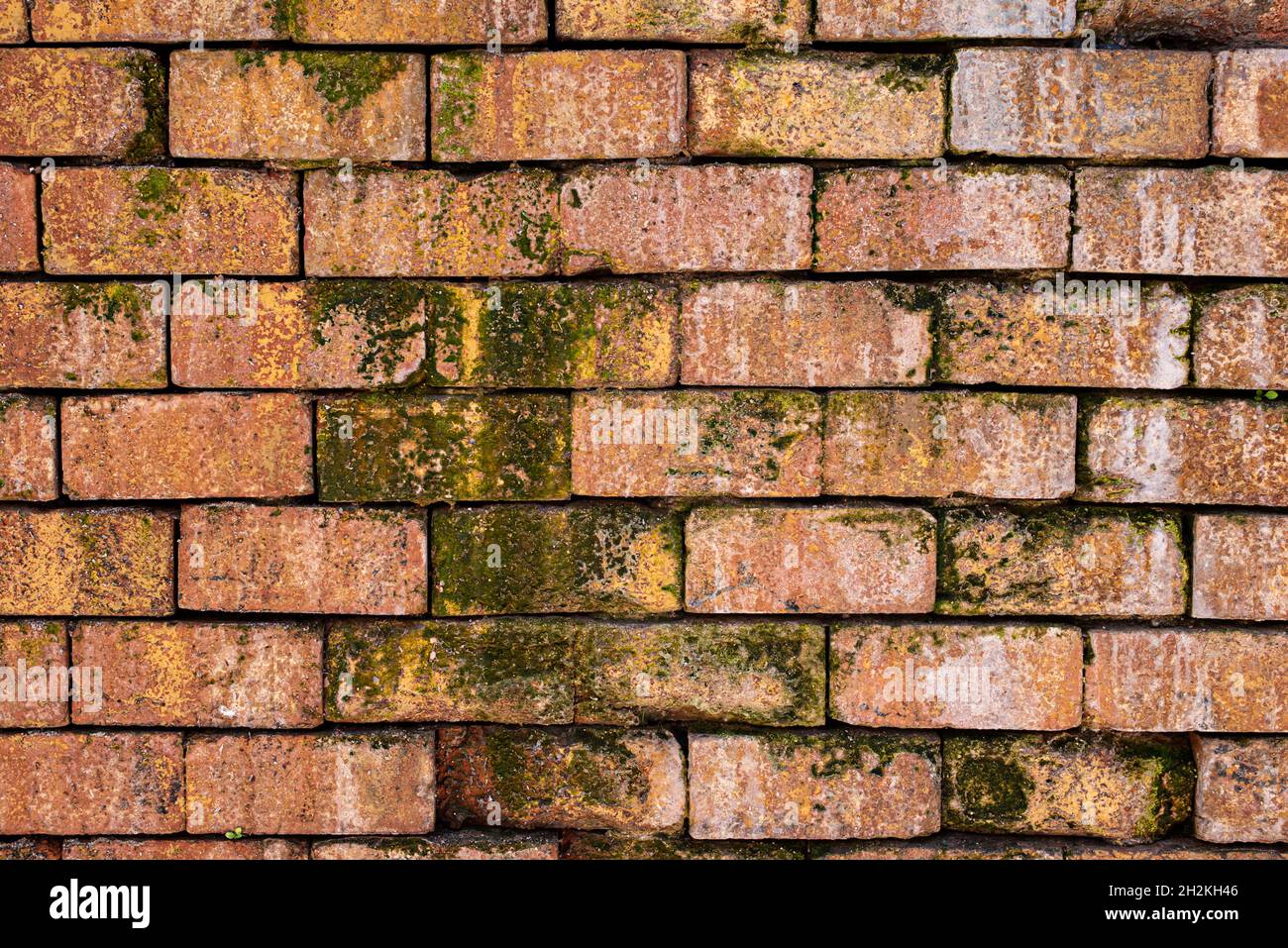 Vintage brick wall with moss and salt on the surface and between the ...