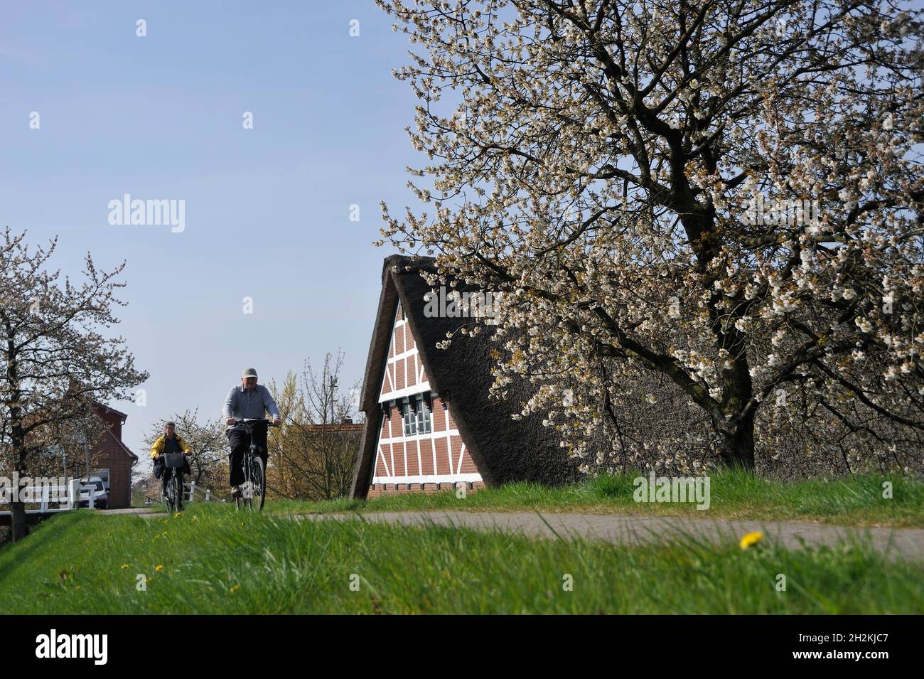 Alte Land, Deutschland Stock Photo - Alamy