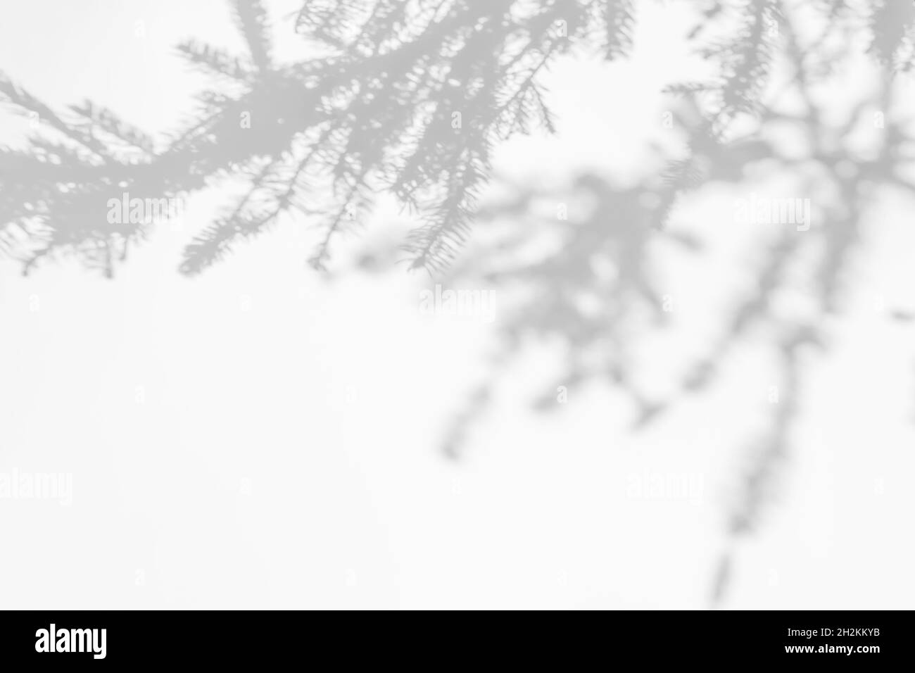 Shadow overlay effects for branding. Mockups. Scenes of natural ...