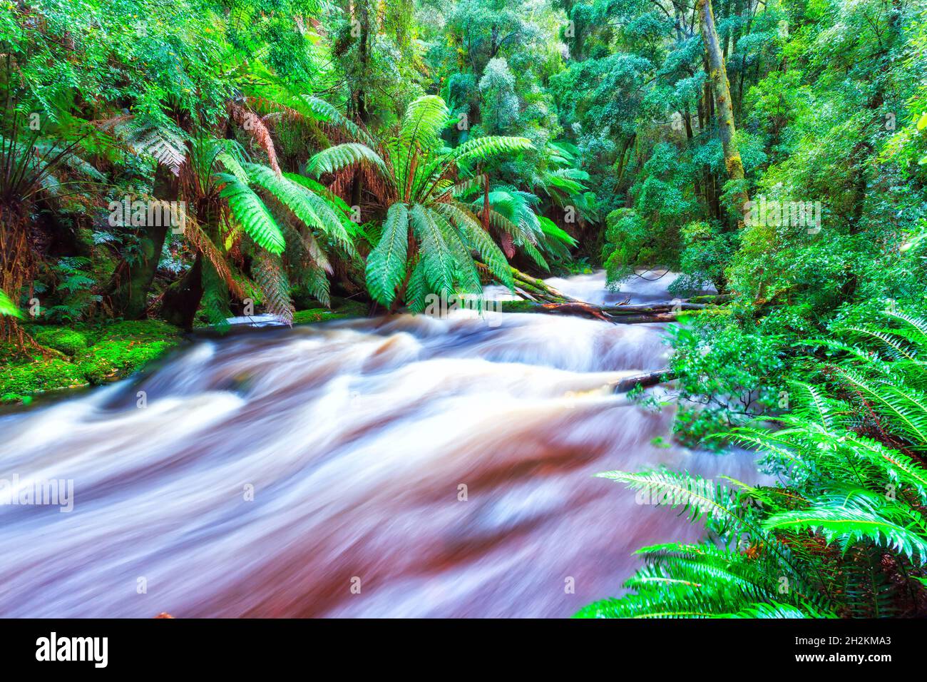 Overflown foliage hi-res stock photography and images - Alamy