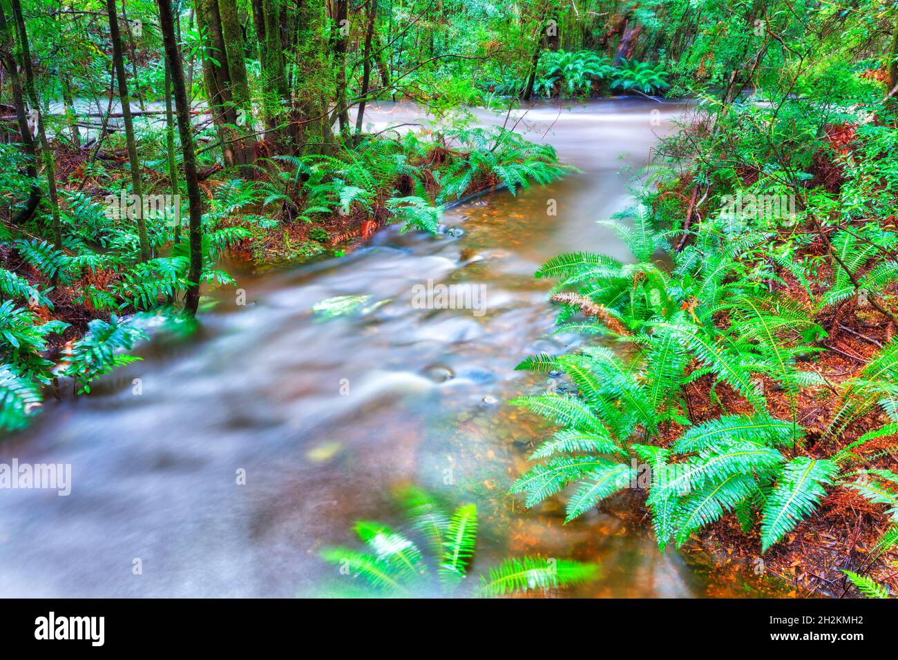 Nelson falls nature trail hi-res stock photography and images - Alamy