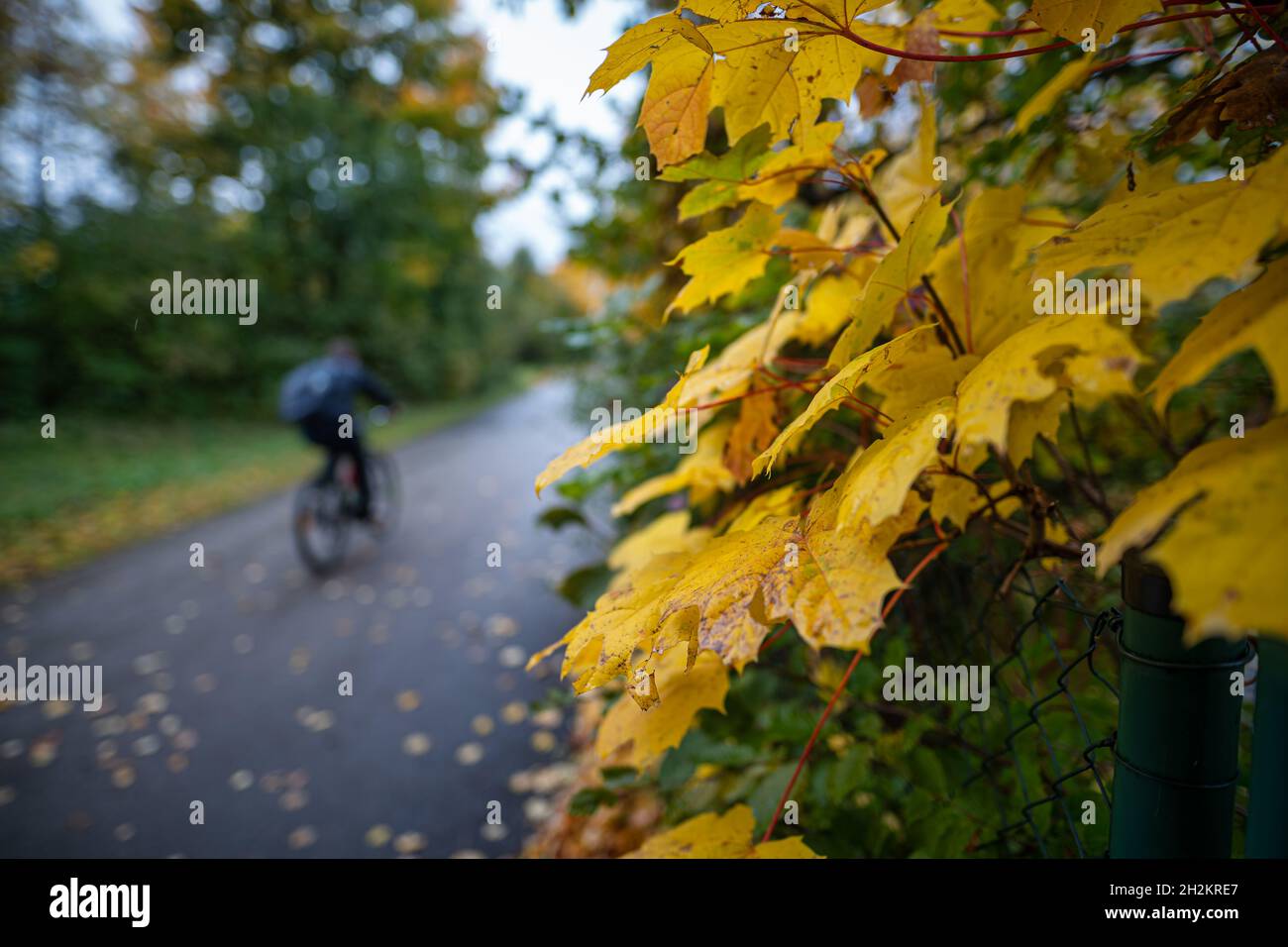 Authentic rider hi-res stock photography and images - Alamy