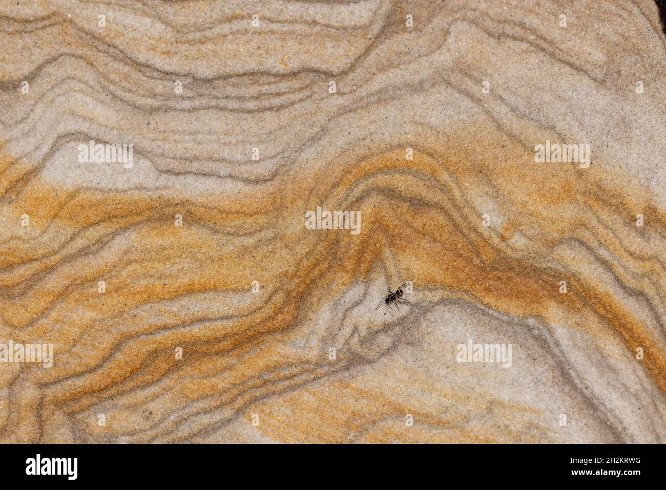 Patterned rock hi-res stock photography and images - Alamy