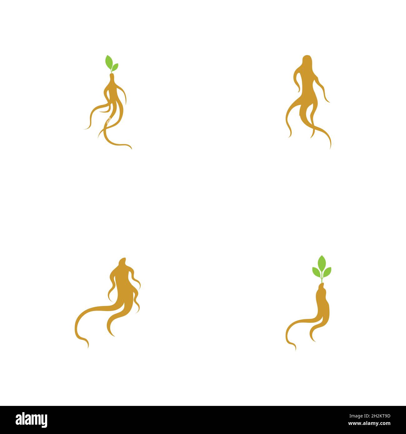 Ginseng logo set illustration vector template Stock Vector Image & Art ...