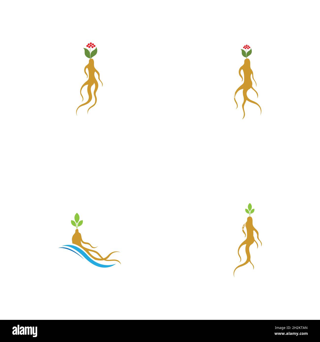 Ginseng logo set illustration vector template Stock Vector Image & Art ...