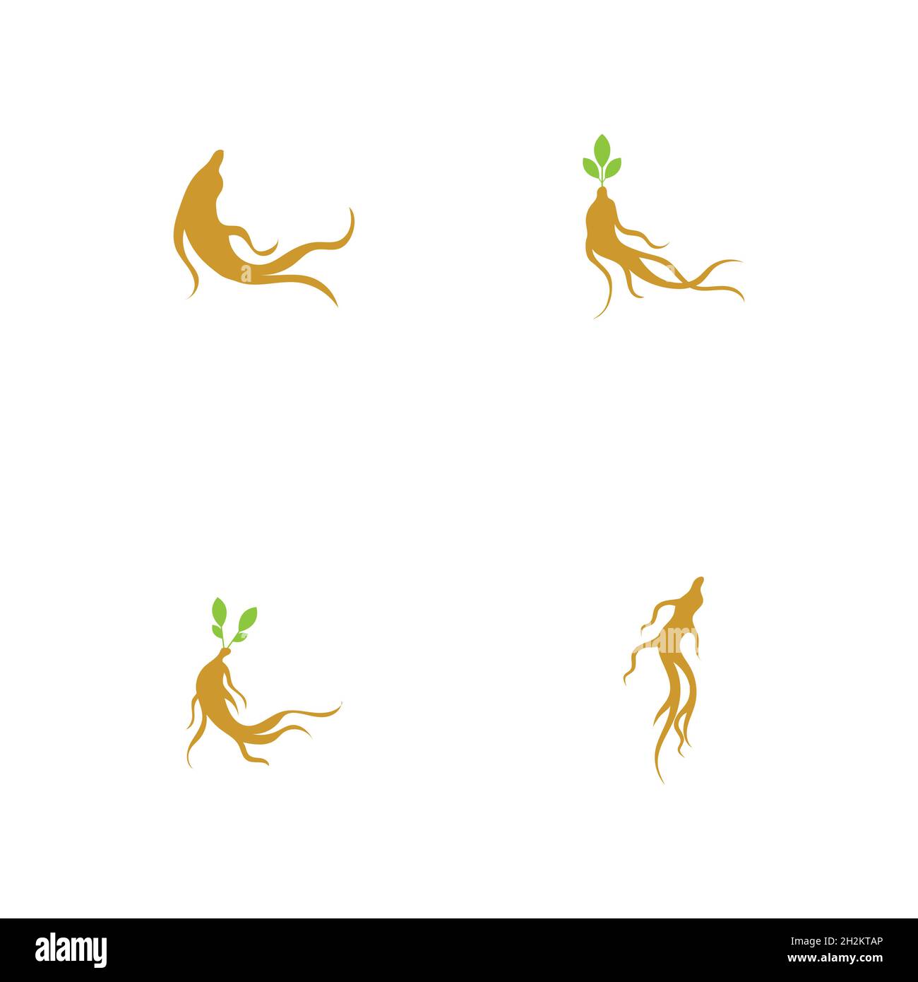 Ginseng logo set illustration vector template Stock Vector Image & Art ...