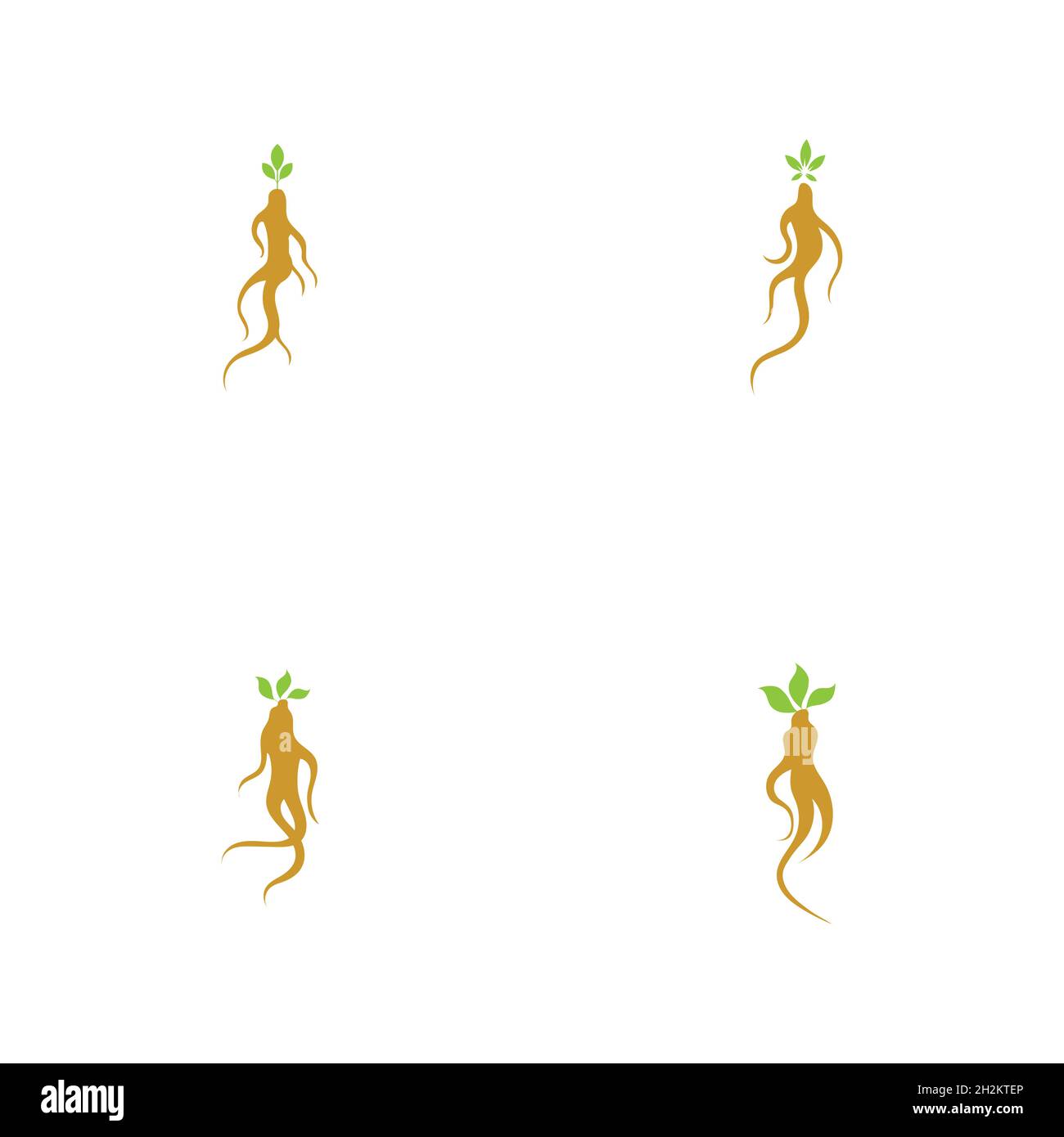 Ginseng logo set illustration vector template Stock Vector Image & Art ...