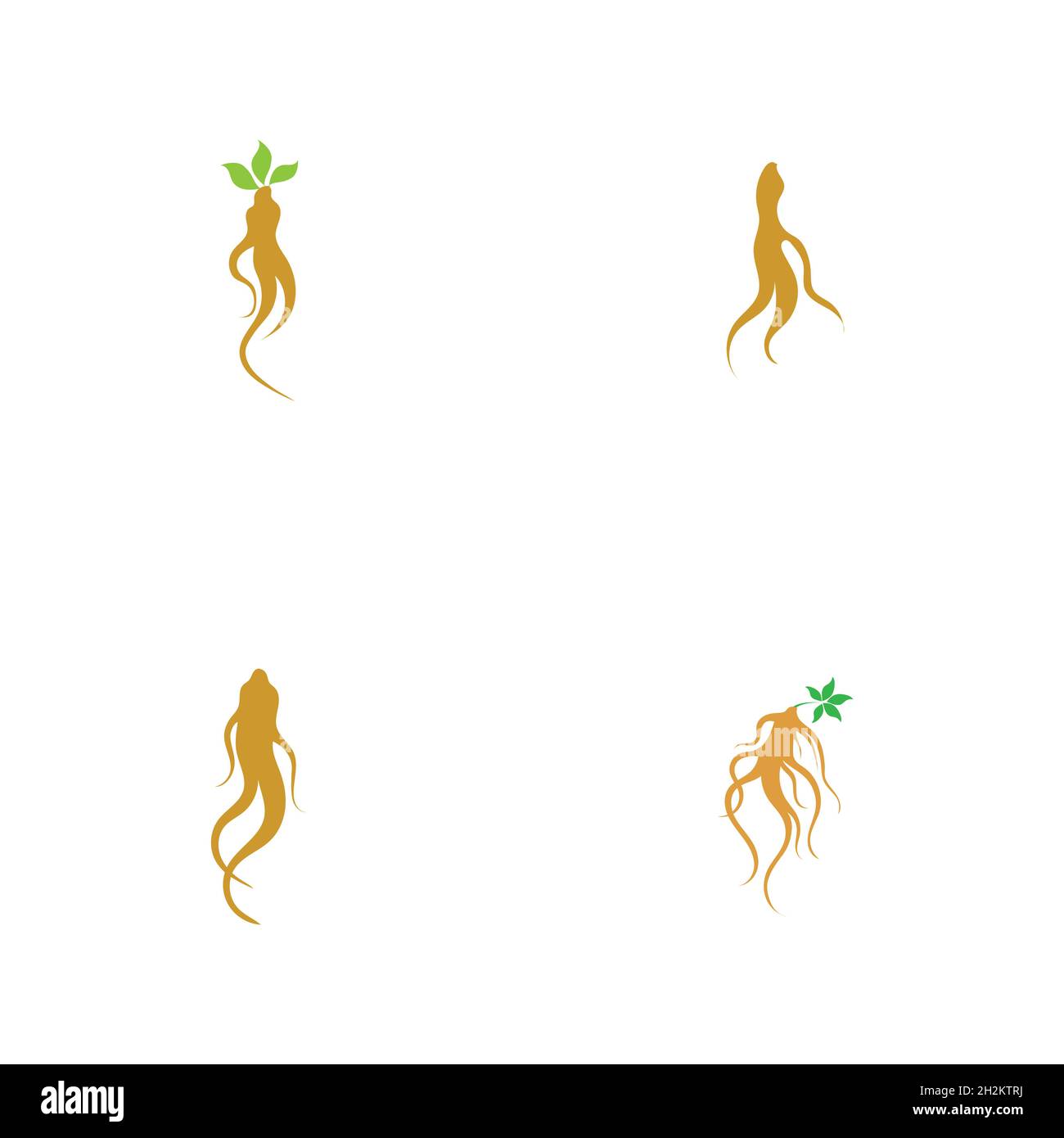 Ginseng logo set illustration vector template Stock Vector Image & Art ...