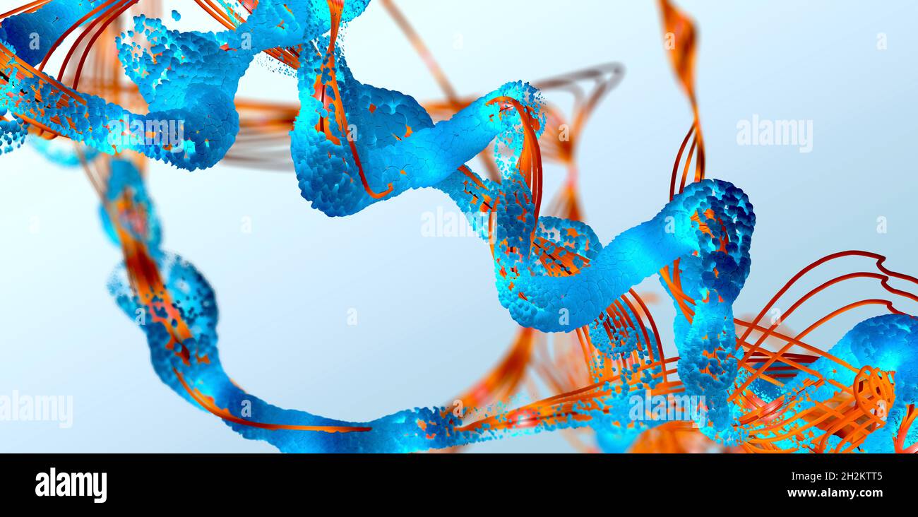 Protein folding hi-res stock photography and images - Alamy
