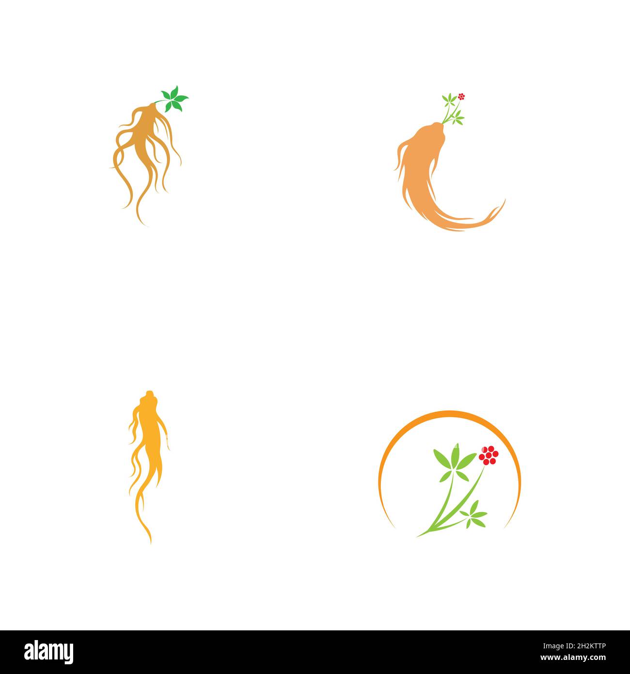 Ginseng logo set illustration vector template Stock Vector Image & Art ...