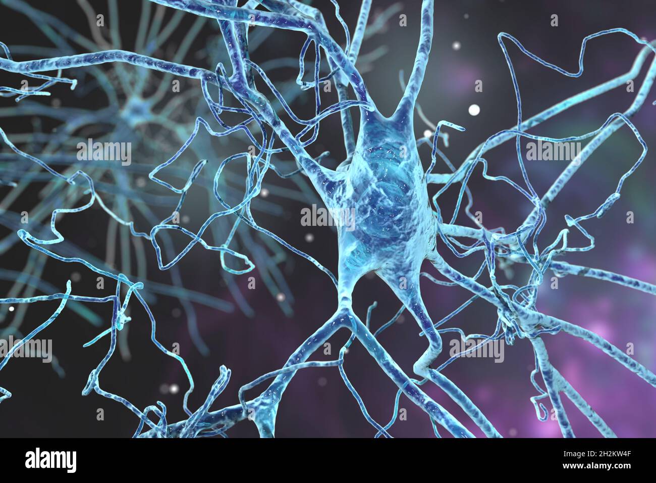 Human brain nerve cells, illustration Stock Photo - Alamy