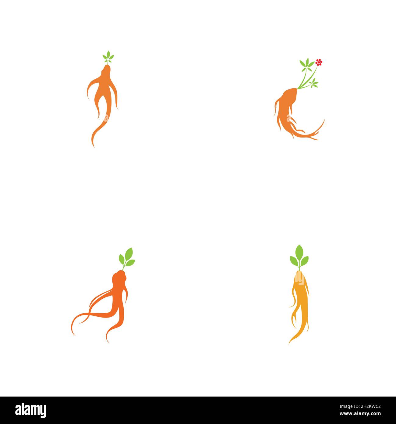 Ginseng logo set illustration vector template Stock Vector Image & Art ...