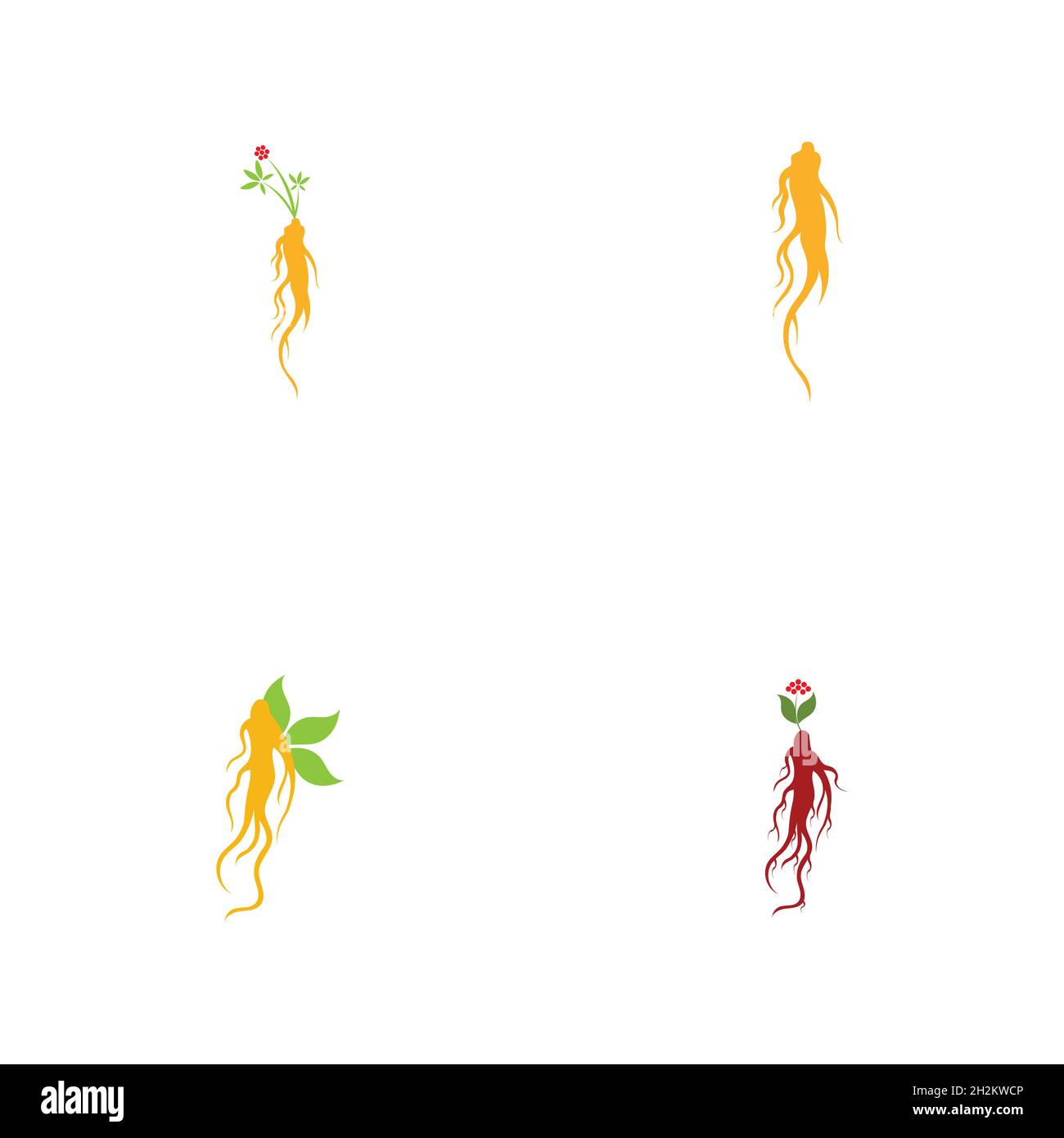 Ginseng logo set illustration vector template Stock Vector Image & Art ...