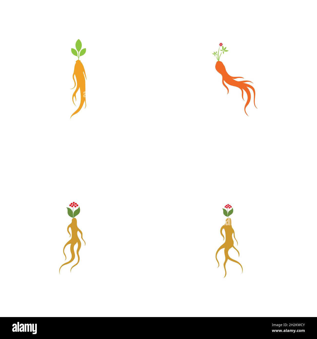 Ginseng logo set illustration vector template Stock Vector Image & Art ...