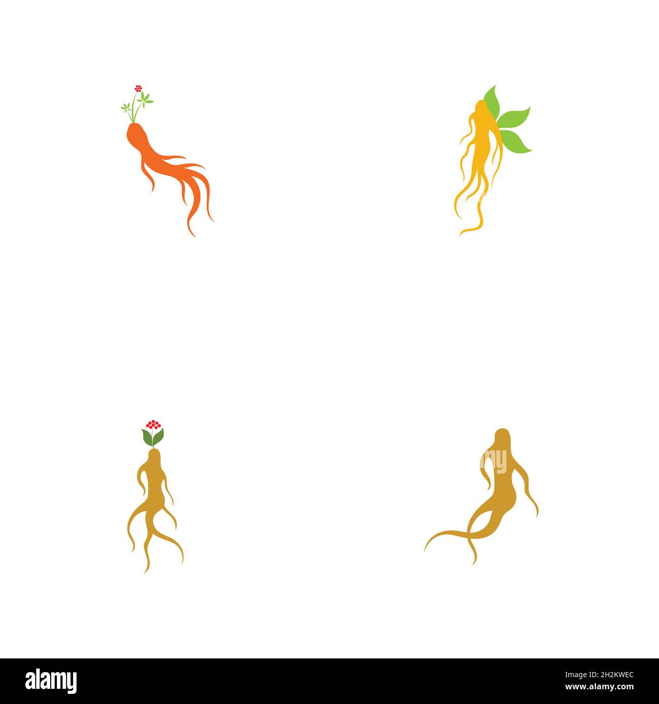Ginseng logo set illustration vector template Stock Vector Image & Art ...