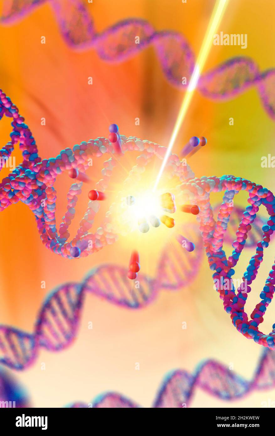 Artwork of DNA Being Damaged Stock Photo - Alamy