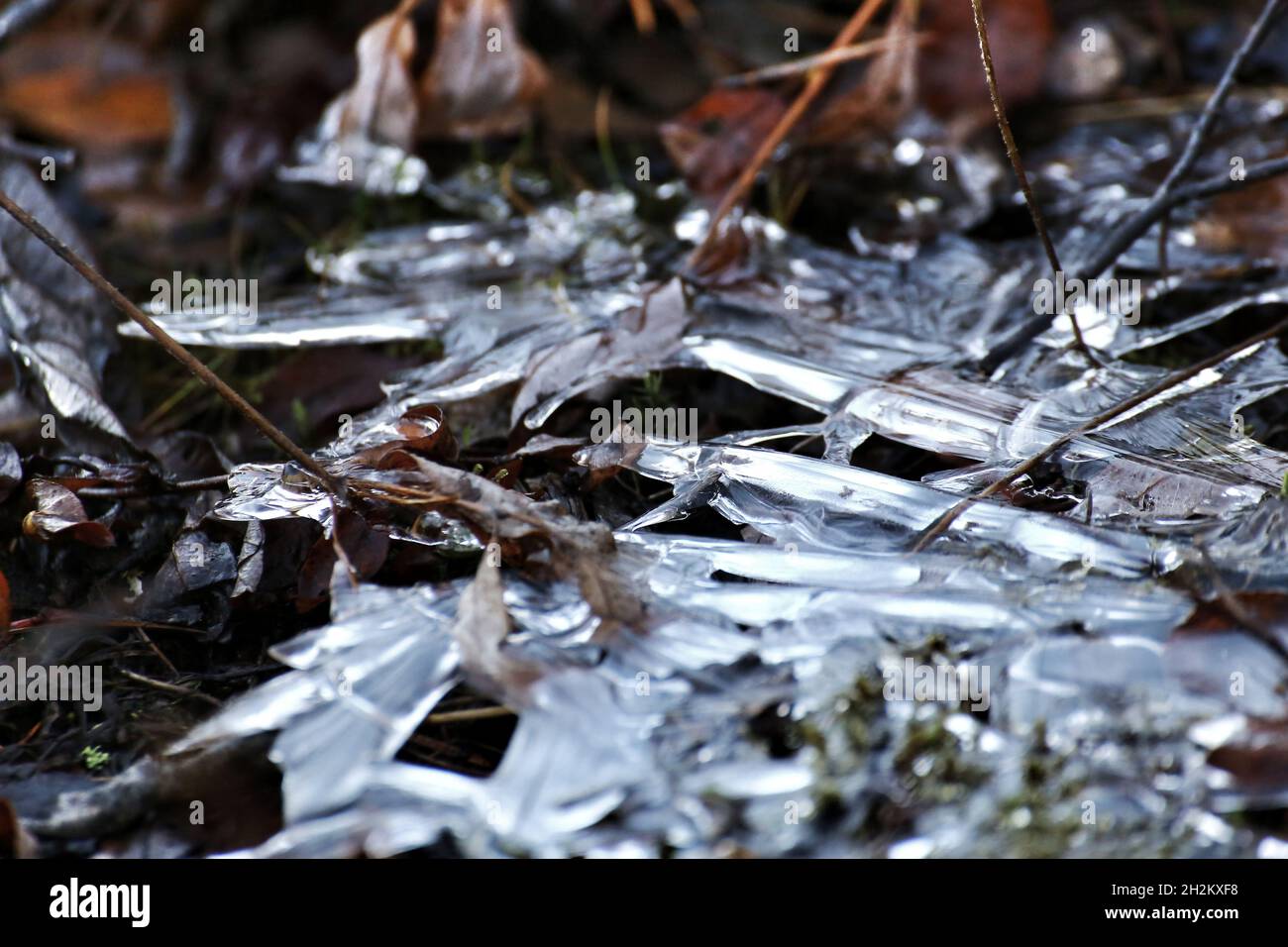 Ice structures in frozen hi-res stock photography and images - Alamy