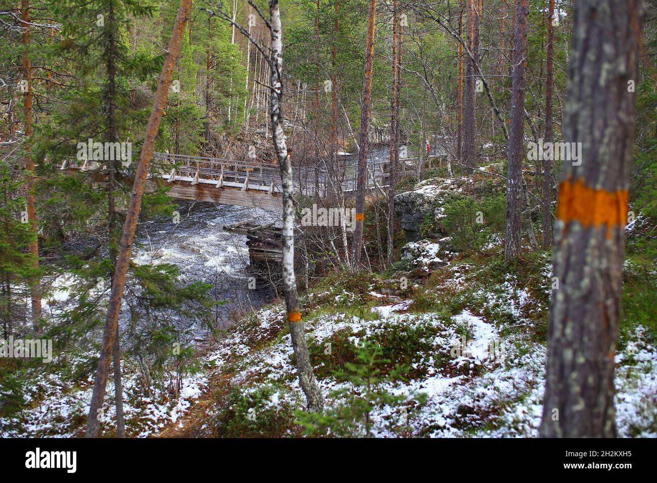 Rough terrain with a marked path in Mala-Storforsens nature reserve in ...